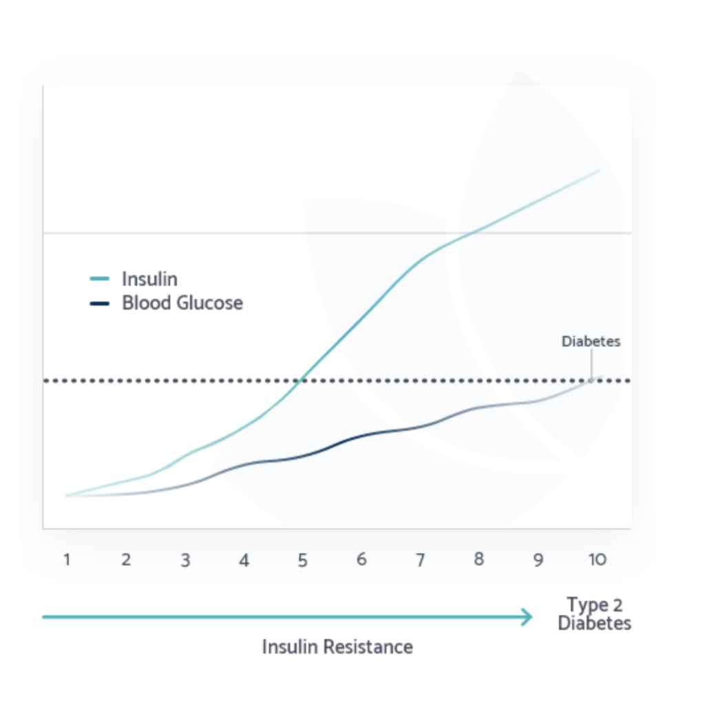 Blood Glucose vs. Insulin: What’s the Difference? - Lilli Health